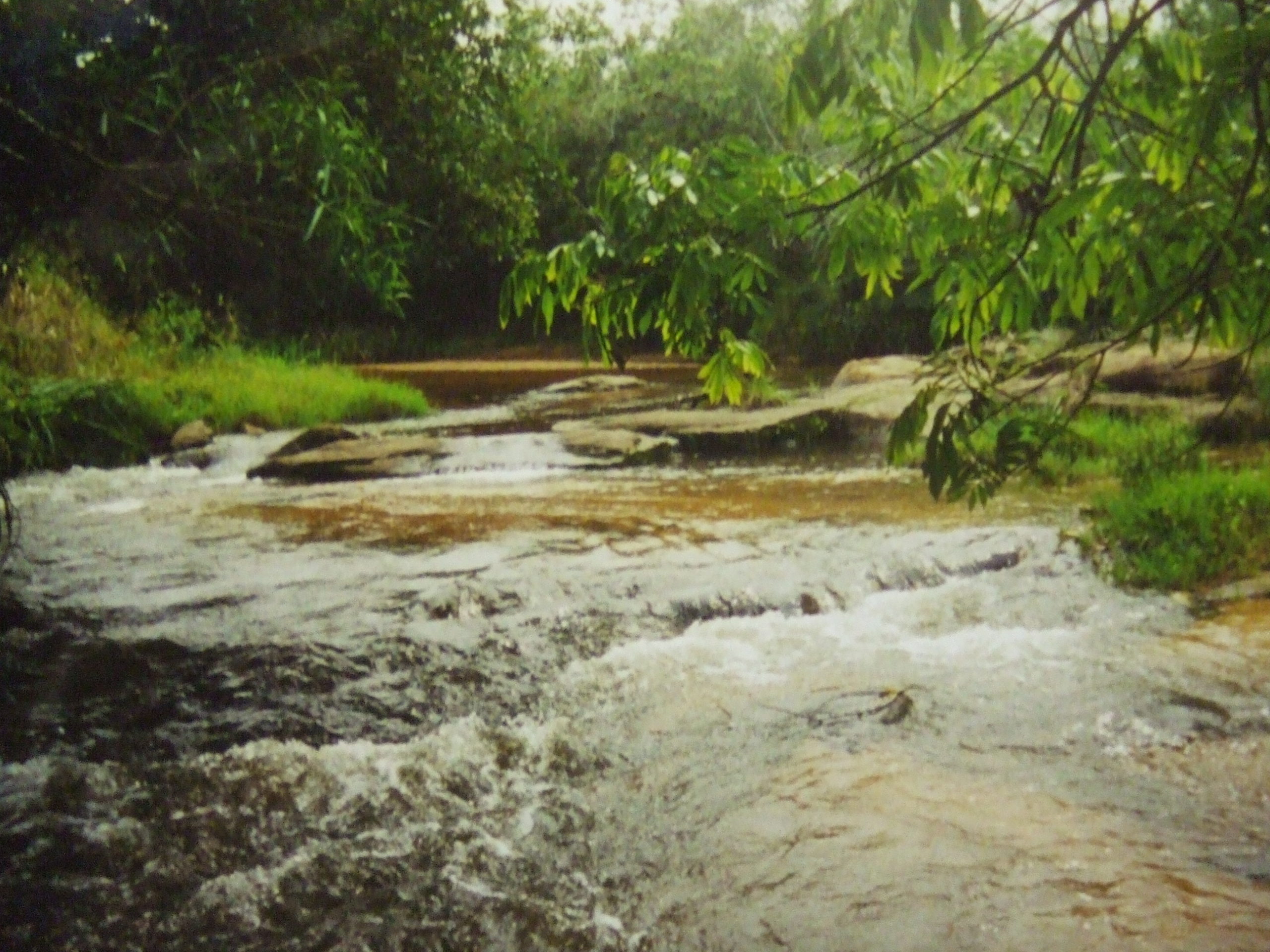 Refreshing summer waters - Simons Paraguay