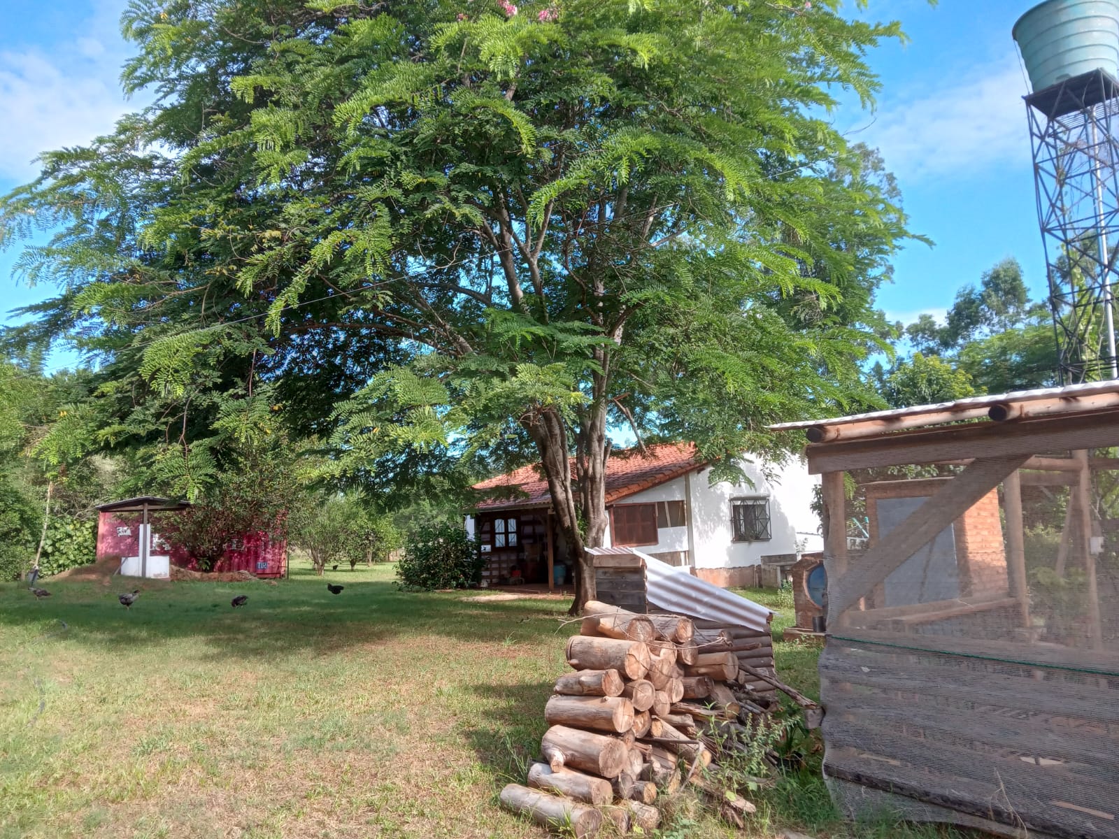 Home - Simons Paraguay